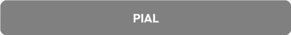 PIAL | IEN ASH 71 Adaptation