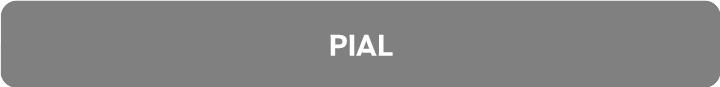 PIAL | IEN ASH 71 Adaptation